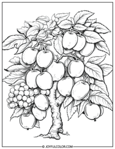 Fruit Tree Coloring Pages - Easy To Print & FREE Download!