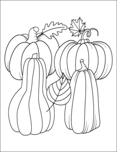 Pumpkin Coloring Pages – A Fun and Festive Activity for All Ages