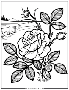 Printable Rose Coloring Pages All Ages! (FREE Download)