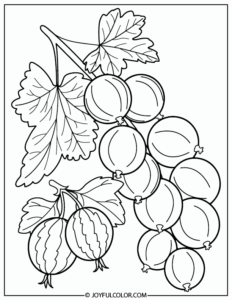 Fruit Coloring Pages Printable for Free Download