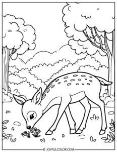 20 FREE Printable Forest Animal Coloring Pages For Kids & Adults