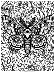 20 Printable Moth Coloring Pages Free for Kids and Adults