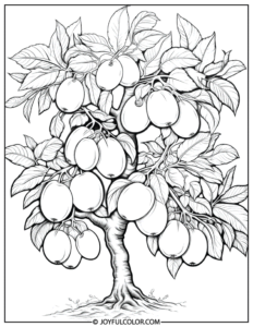 Fruit Tree Coloring Pages - Easy To Print & FREE Download!