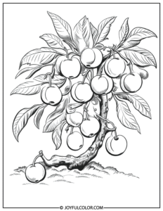 Fruit Tree Coloring Pages - Easy To Print & FREE Download!