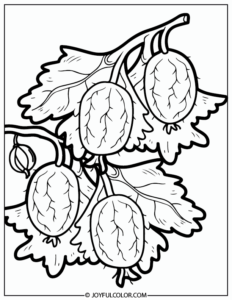 Fruit Coloring Pages Printable for Free Download