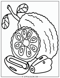 Fruit Coloring Pages Printable for Free Download