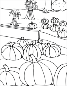 Pumpkin Coloring Pages – A Fun and Festive Activity for All Ages