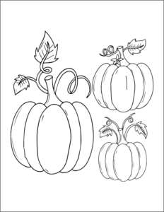 Pumpkin Coloring Pages – A Fun and Festive Activity for All Ages
